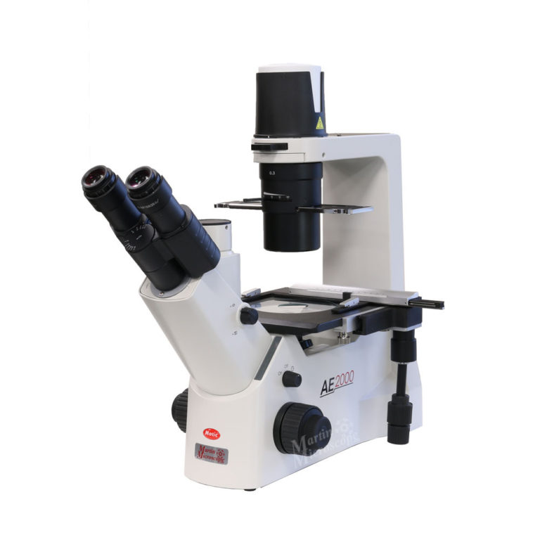 Motic AE2000 LED Inverted Phase Contrast Tissue Culture Microscope ...