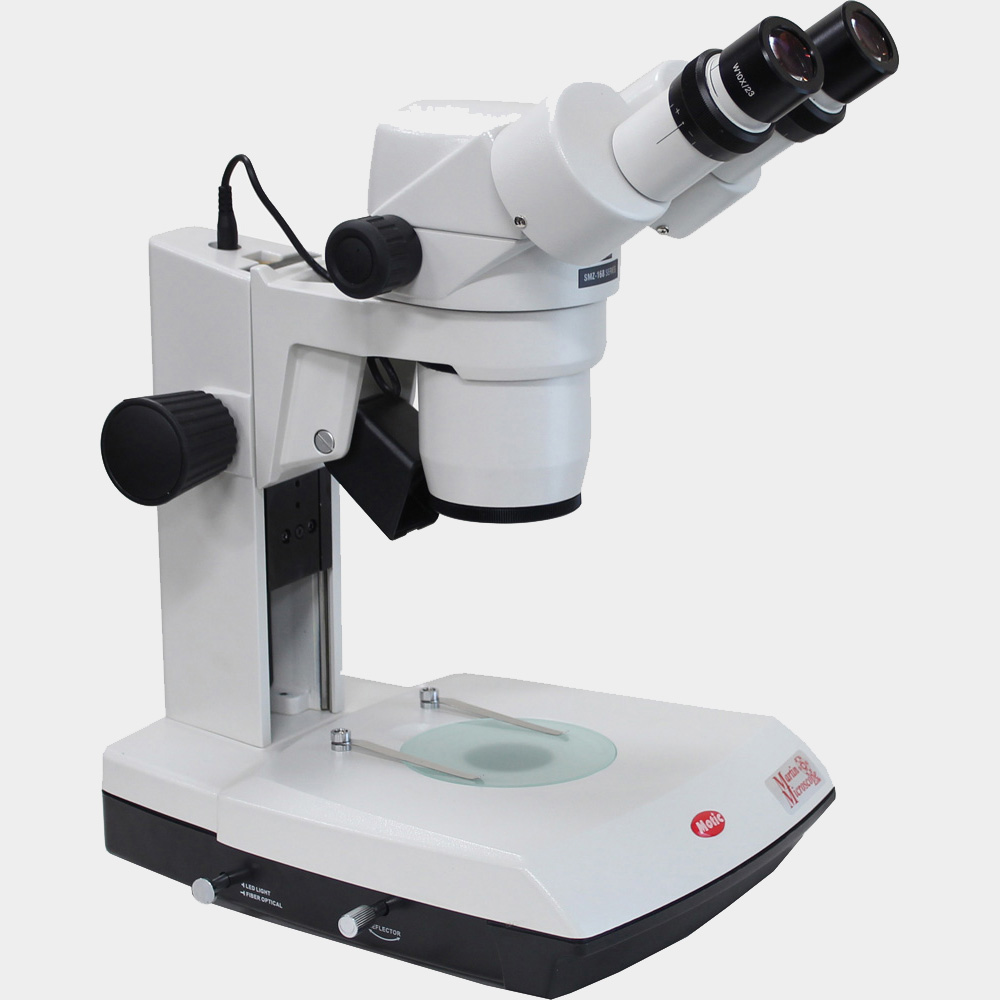 Stereomicroscopes - Martin Microscope
