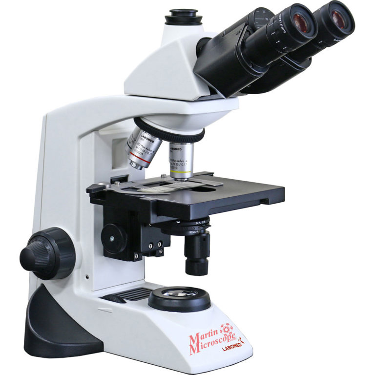 Labomed LX300 LED Compound Brightfield Microscope – Martin Microscope