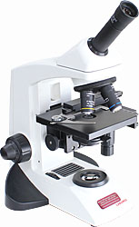 Labomed CXL LED Compound Brightfield Microscope - Martin Microscope