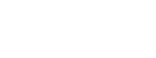 Martin Microscope