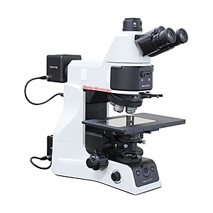 Compound – Martin Microscope