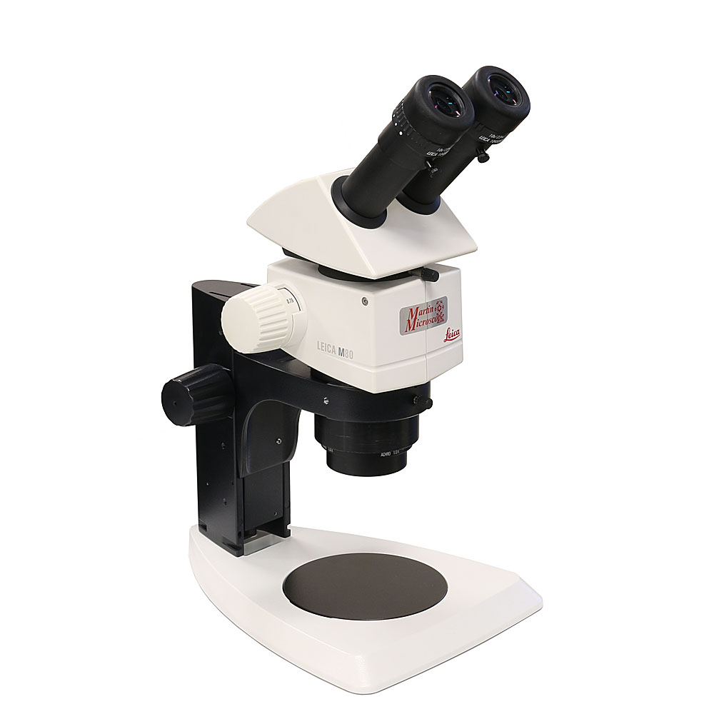 Industrial - Martin Microscope