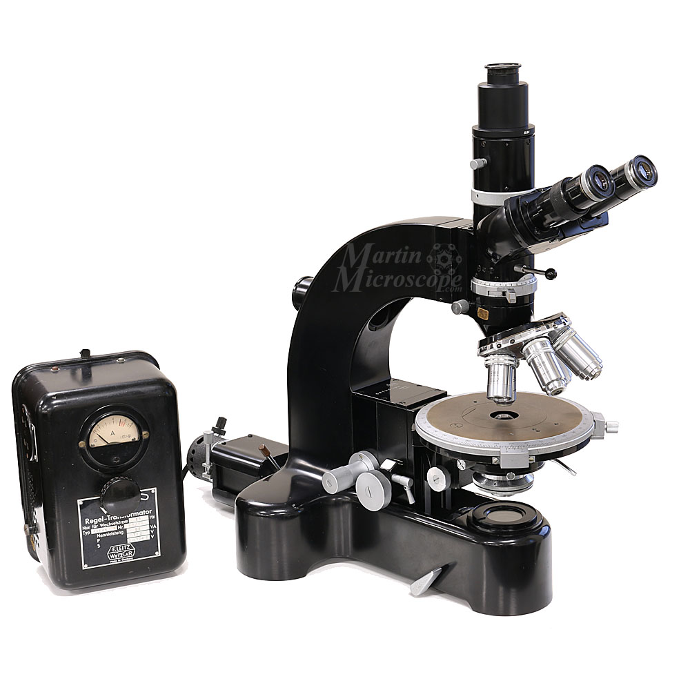 polarized - Martin Microscope