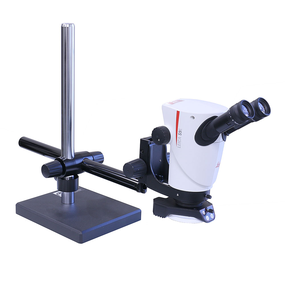 Stereomicroscopes - Martin Microscope