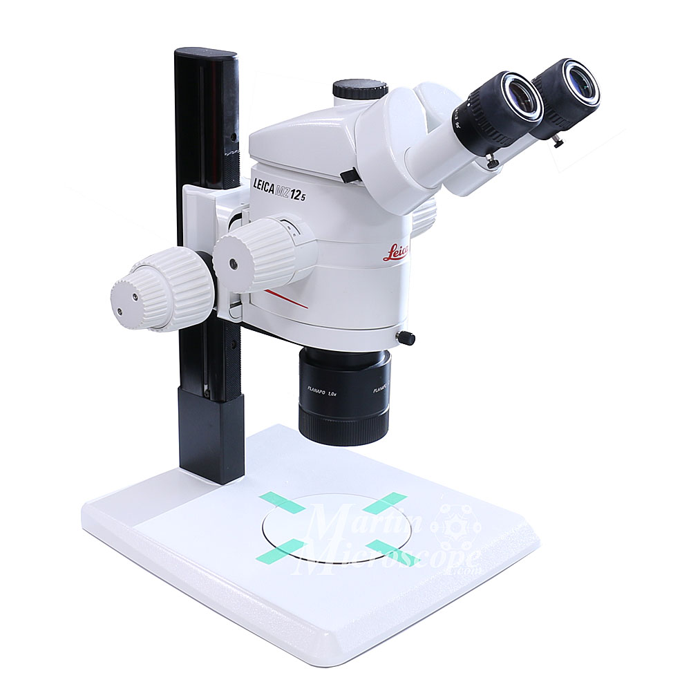 Stereomicroscopes - Martin Microscope